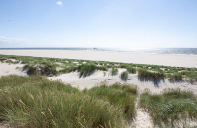 Texel, nature at its best