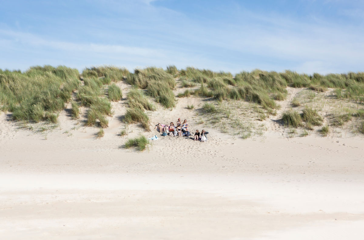 Texel, the invigorating